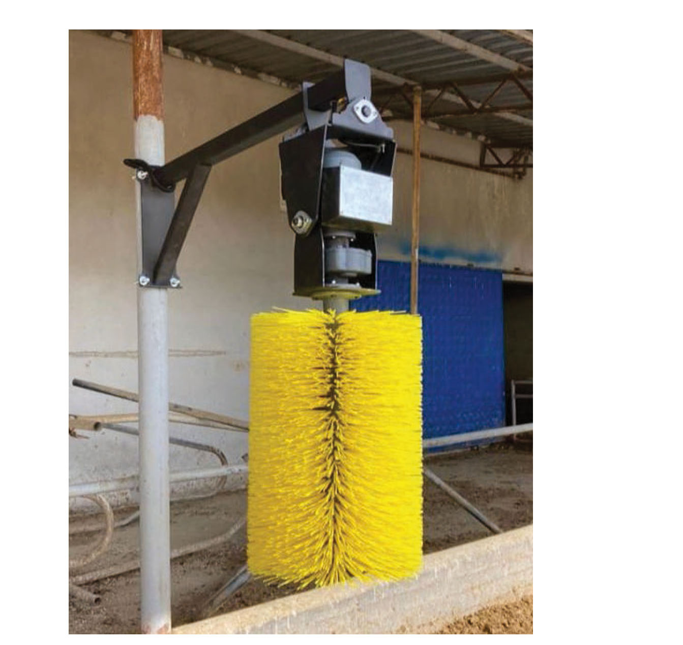 Spazzola Bovini Elettrica - Dibotek.it